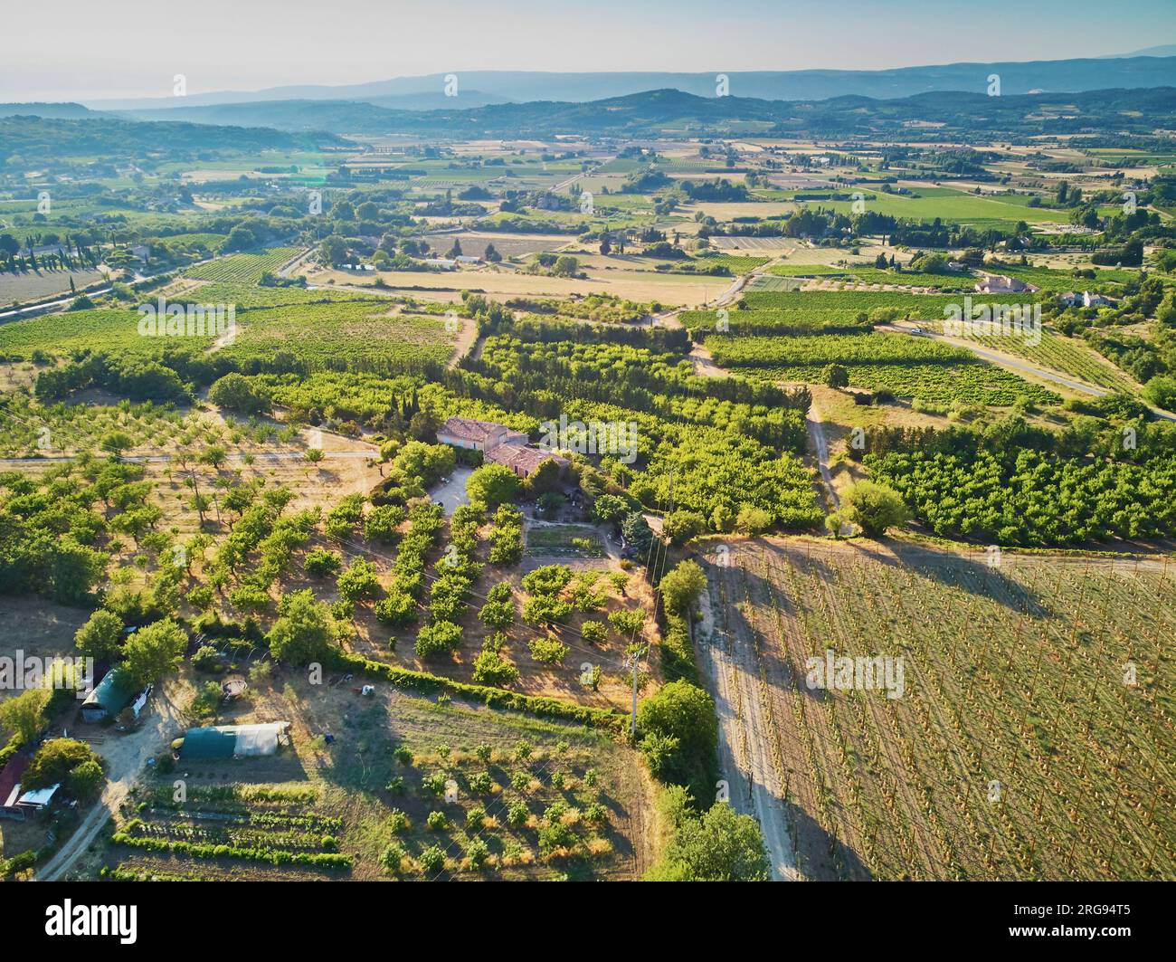 Aerial scenic Mediterranean landscape with cypresses, olive trees and ...