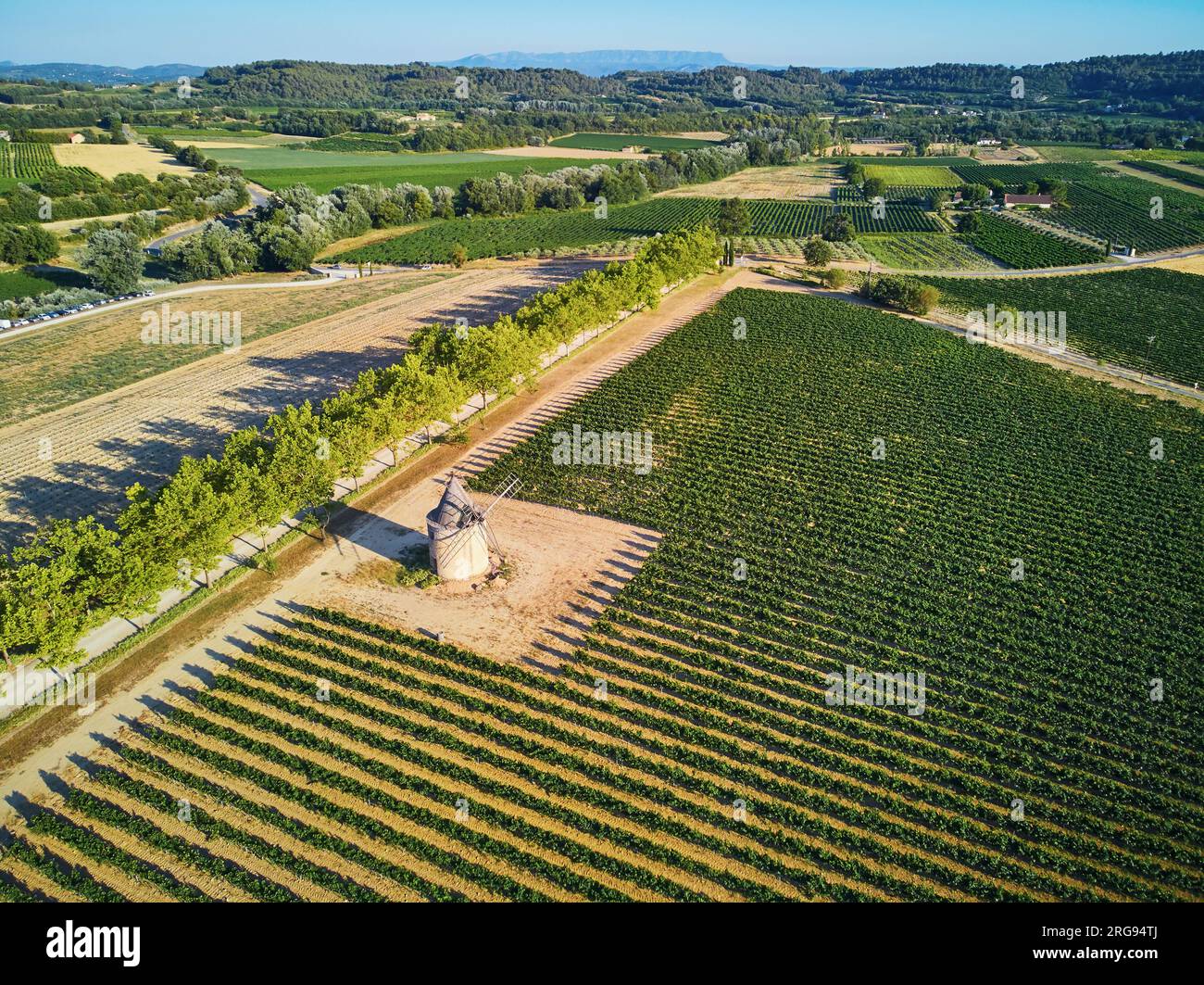 Aerial scenic Mediterranean landscape with cypresses, olive trees and ...