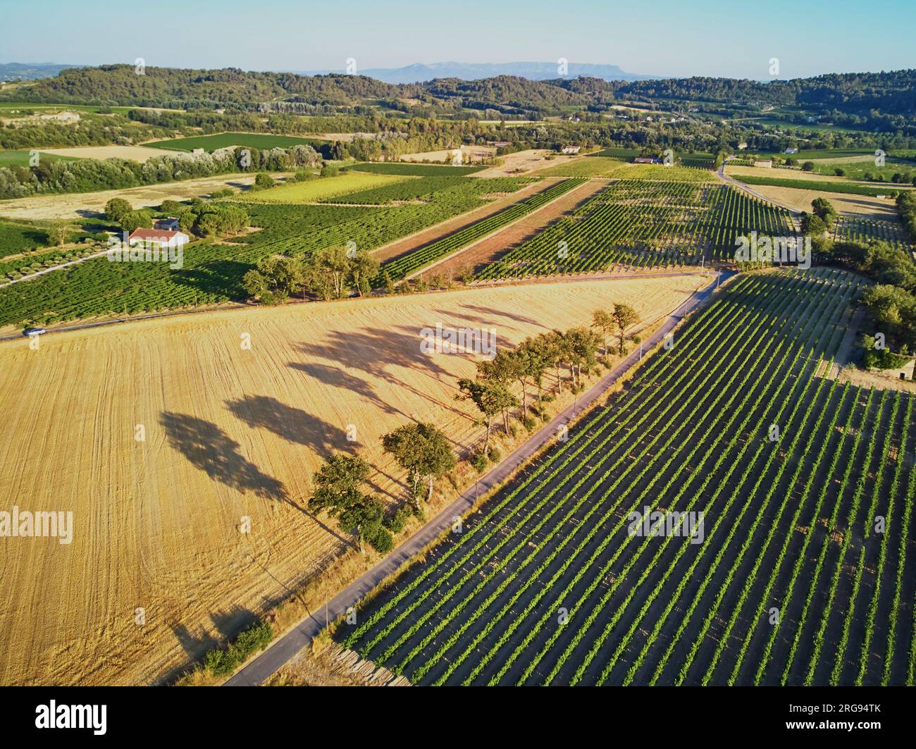 Aerial scenic Mediterranean landscape with cypresses, olive trees and ...