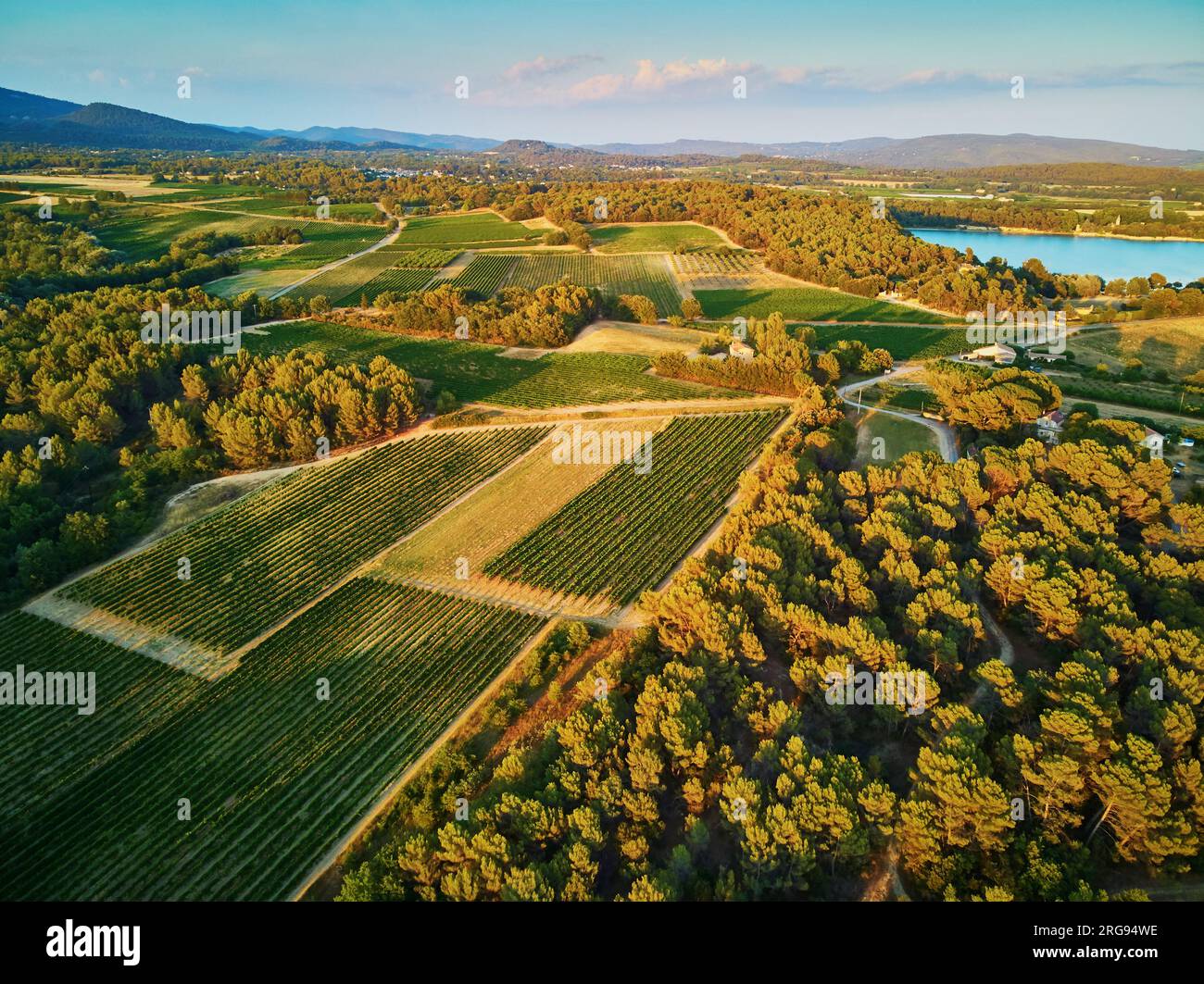Aerial scenic Mediterranean landscape with cypresses, olive trees ...