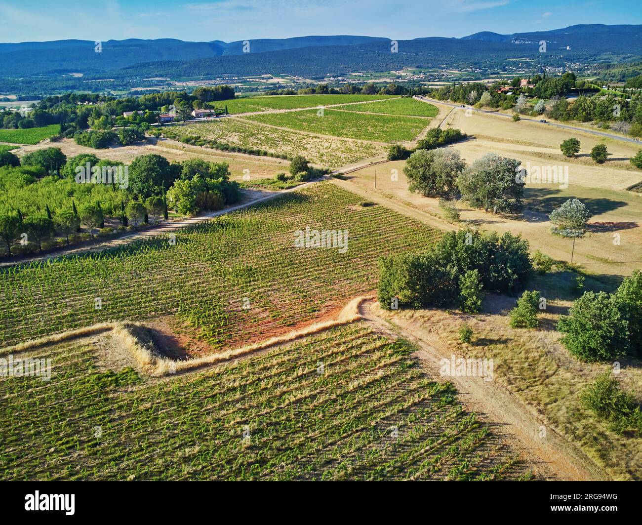 Aerial scenic Mediterranean landscape with cypresses, olive trees and ...
