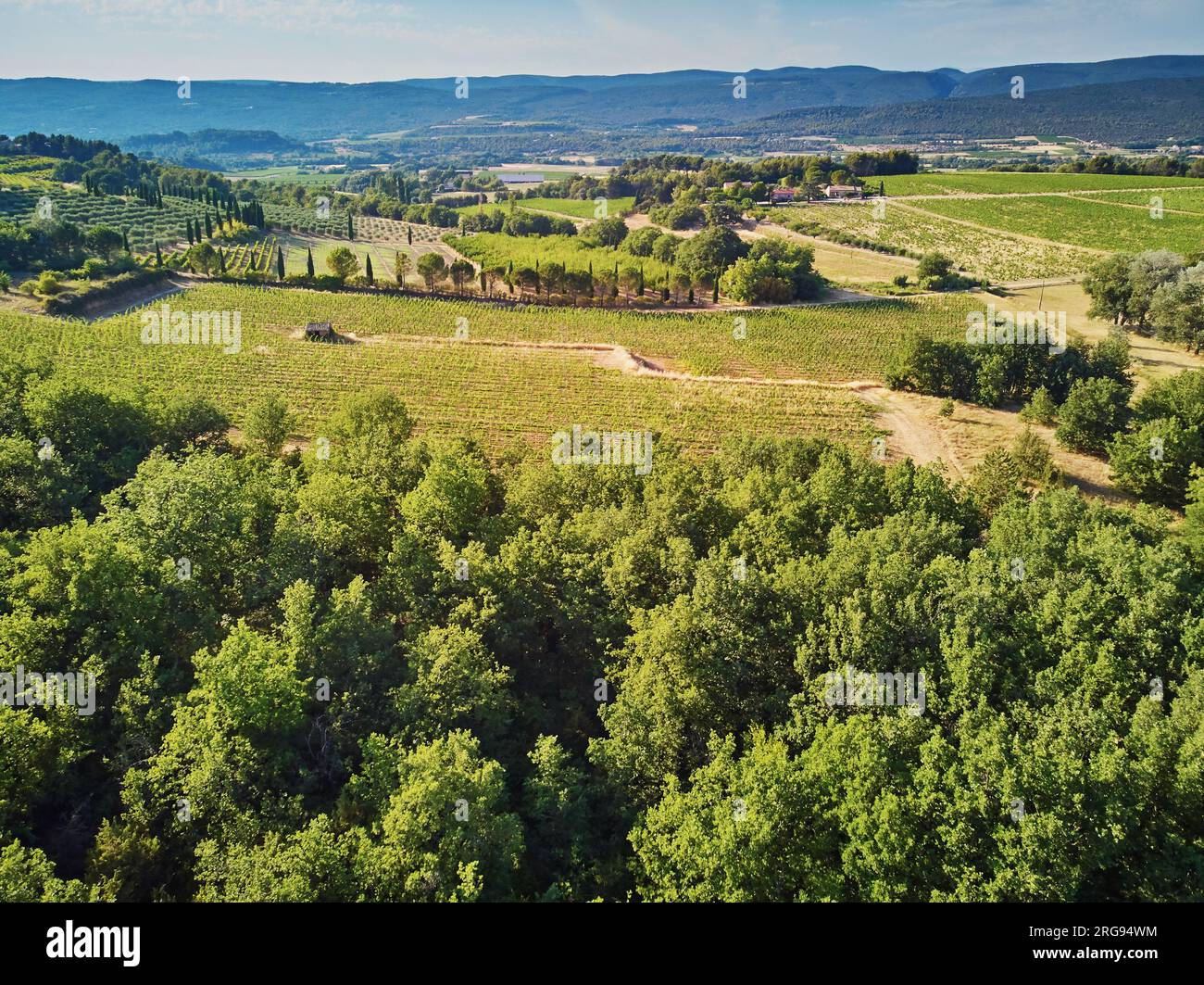 Aerial scenic Mediterranean landscape with cypresses, olive trees and ...