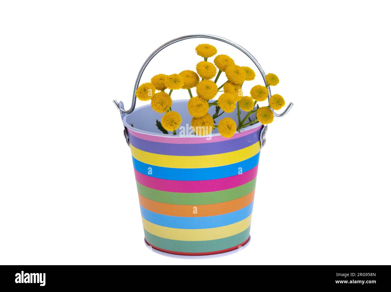 Decorative bucket hi-res stock photography and images - Alamy