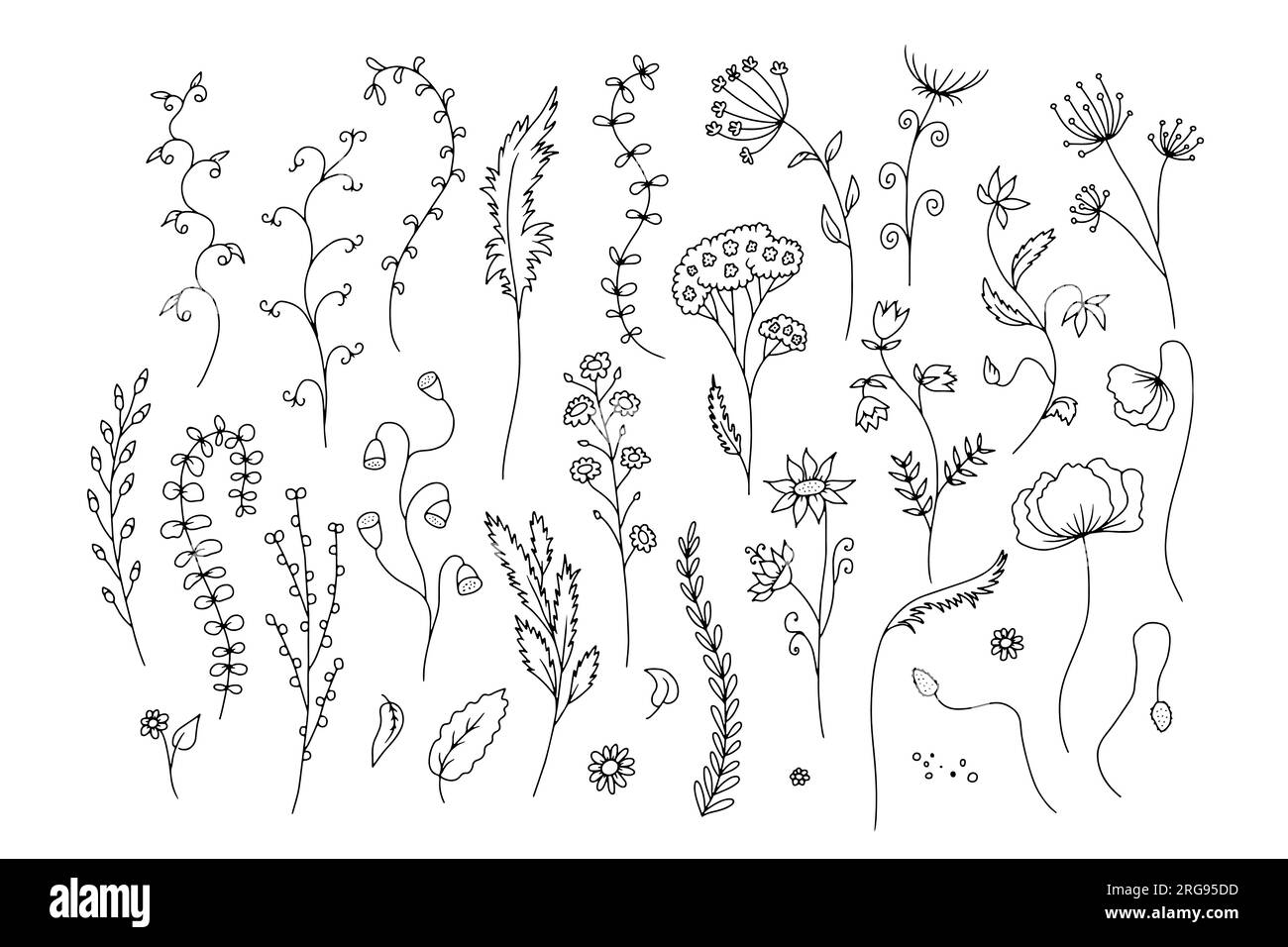 Hand drawn wild flowers illustrations set isolated on white background ...