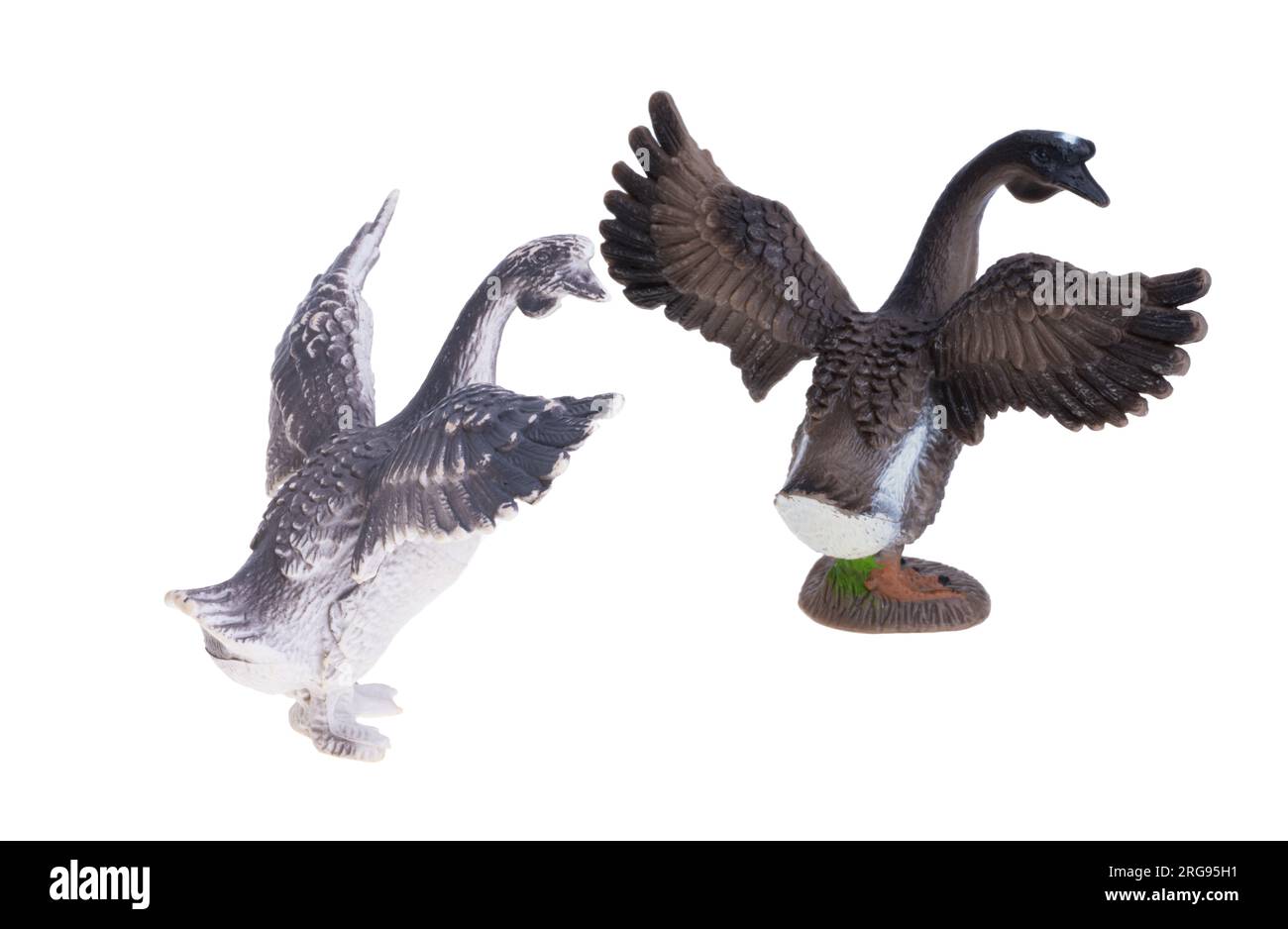 goose figurine isolated on white background Stock Photo - Alamy