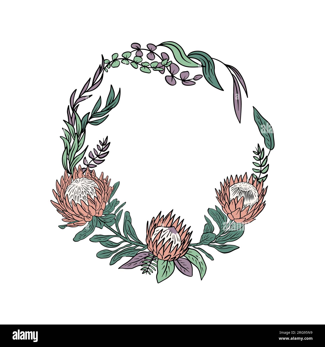 Hand drawn colorful line art tropical protea flower round frame Stock ...