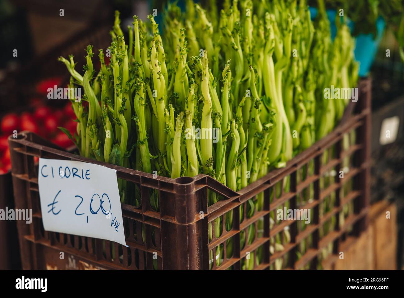 Raw chicory hi-res stock photography and images - Alamy