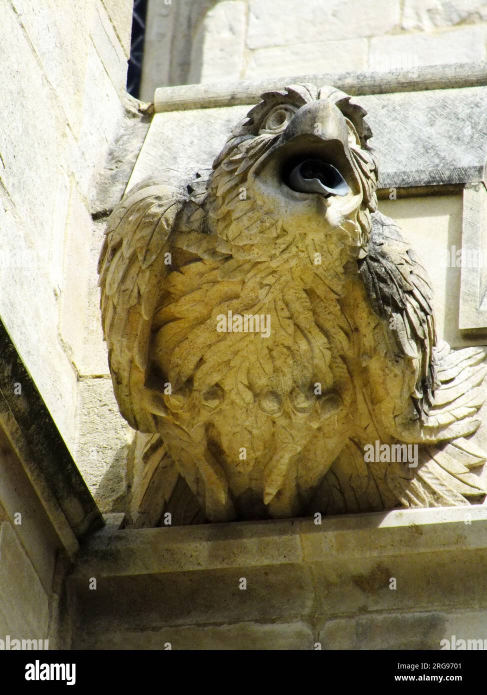 Gargoyle of a bird of prey with a water spout in its mouth at ...
