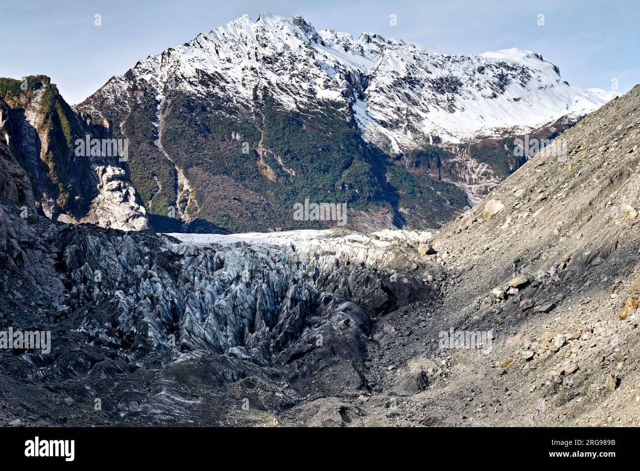 New Zealand. The walk to Fox Glacier. Westland Tai Poutini National ...