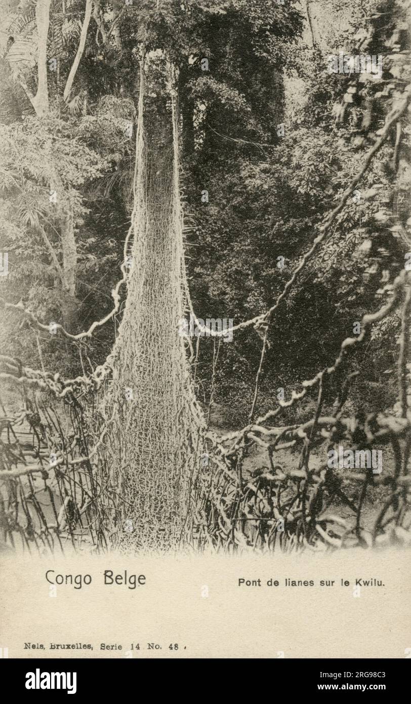 Congo bridge over river hi-res stock photography and images - Alamy
