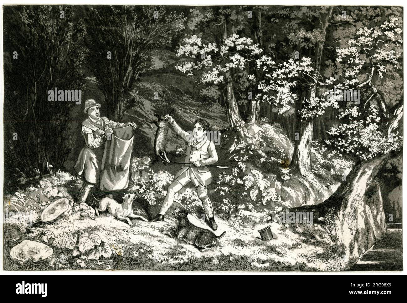 Two men with dogs, hunting badgers in a wood Stock Photo - Alamy