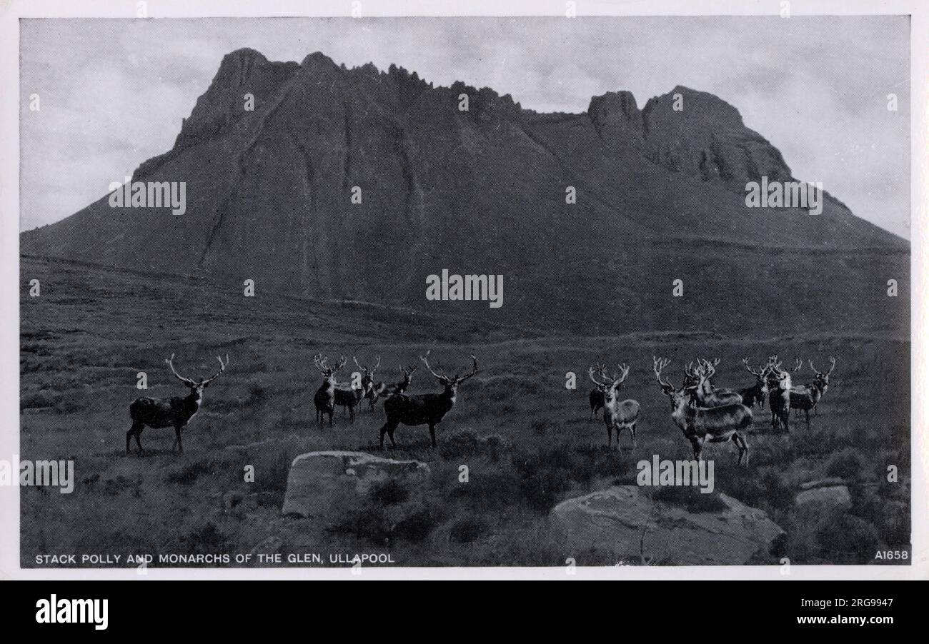 Stack Polly (Stac Pollaidh) and Monarchs of the Glen, Ullapool - a ...