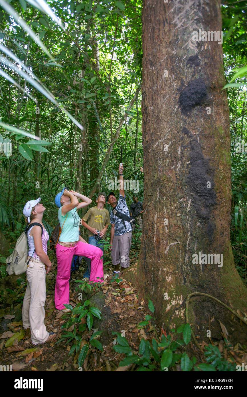 Brazil amazone tourist hi-res stock photography and images - Alamy