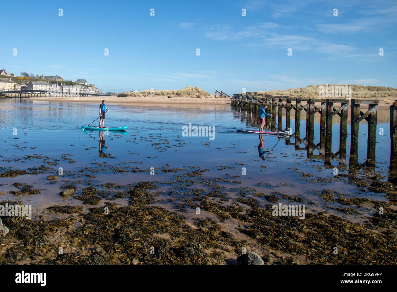 Young couple paddle boarding in the calm sea around the beach and ...