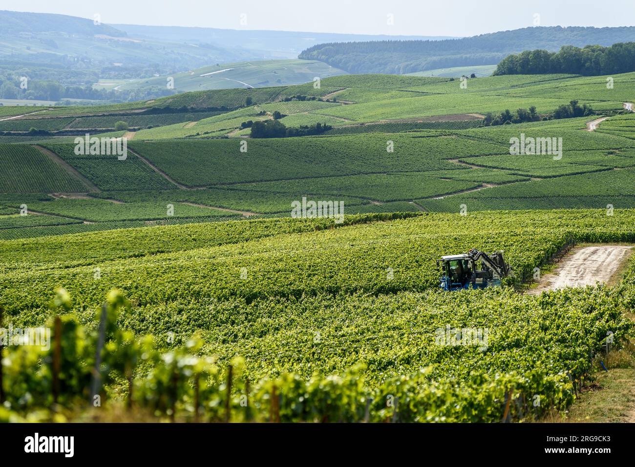 Perched on a promontory the village of Mutigny offers a beautiful ...