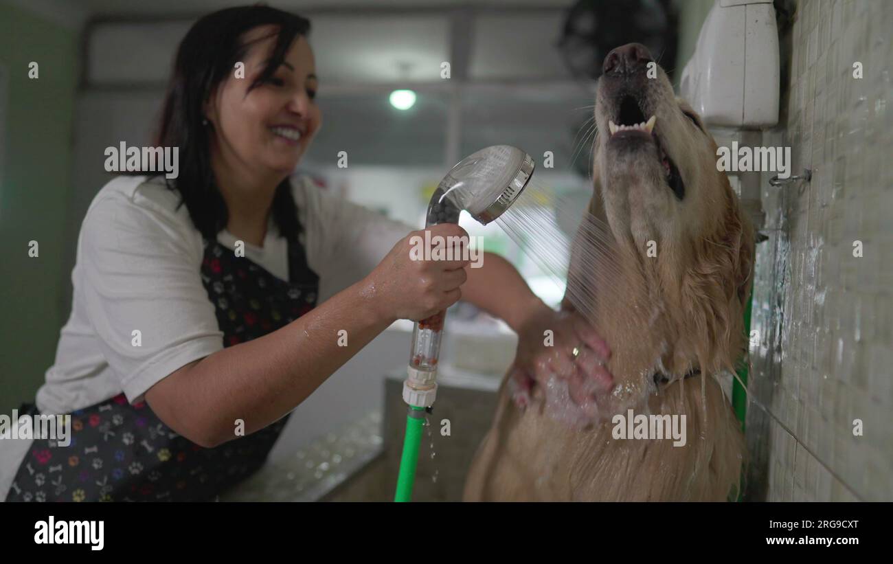 Female pet shop employee hi-res stock photography and images - Alamy