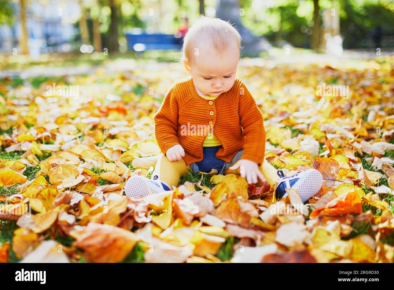 Adorable little girl sitting on the ground in park and playing with ...