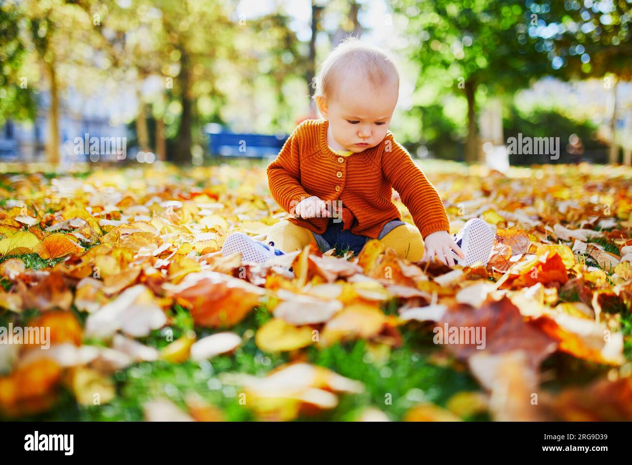 Cute little baby girl having fun on beautiful fall day. Child playing ...