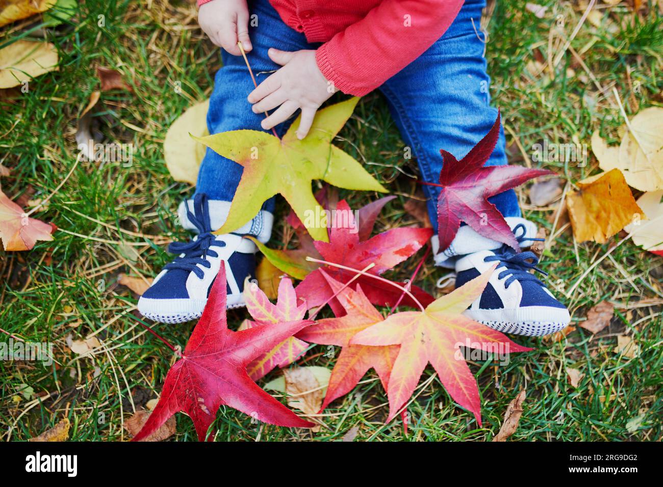 Little girl sitting on the grass and playing with colorful autumn ...