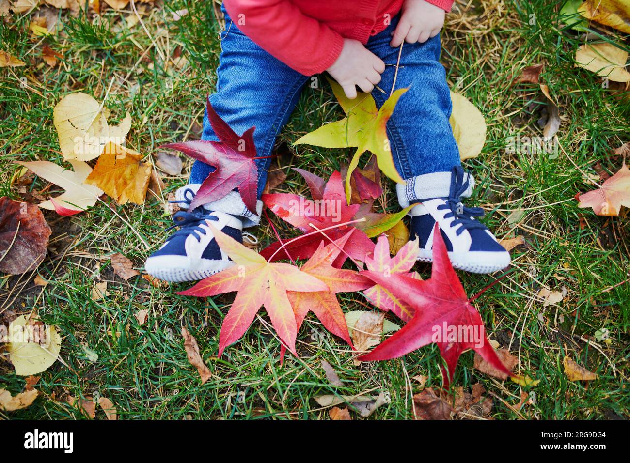 Little girl sitting on the grass and playing with colorful autumn ...