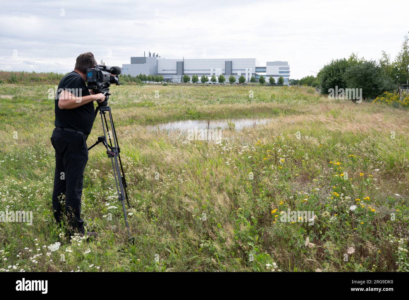 Dresden, Germany. 08th Aug, 2023. A cameraman stands on a meadow in an ...