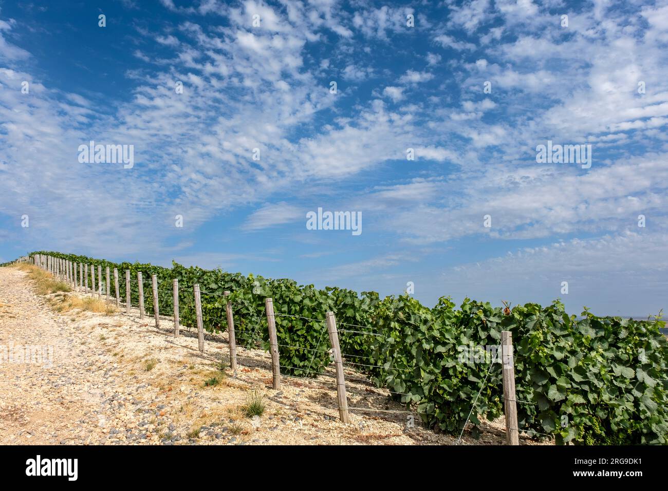 Perched on a promontory the village of Mutigny offers a beautiful ...