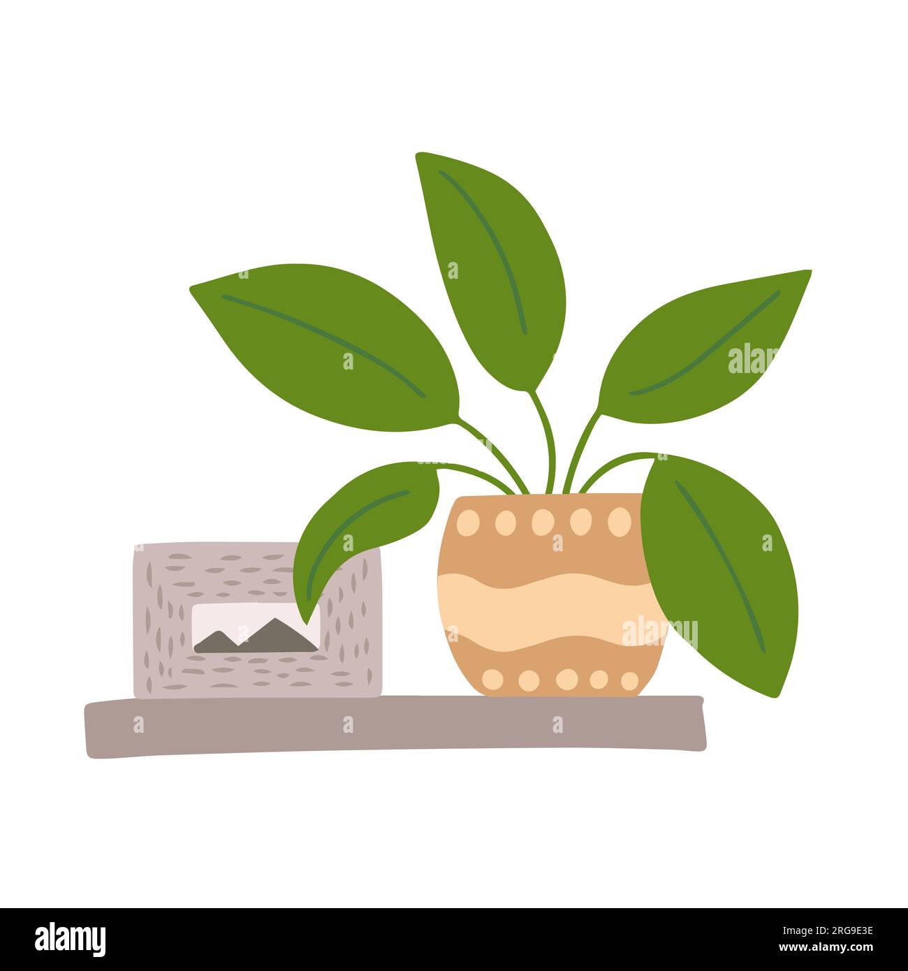 Houseplants shelf Cut Out Stock Images & Pictures - Alamy
