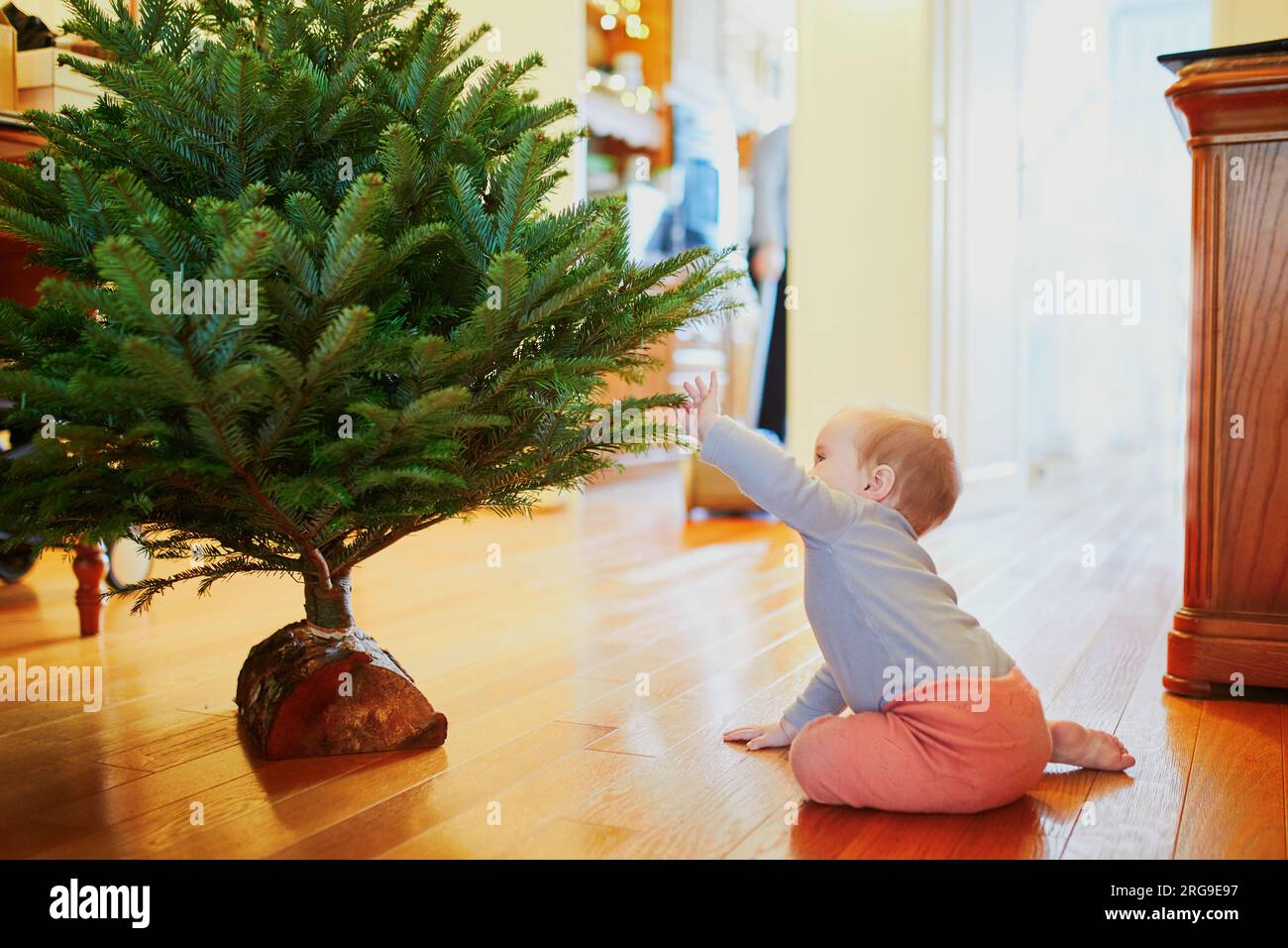 Little baby girl sitting on the floor and touching the branches of ...