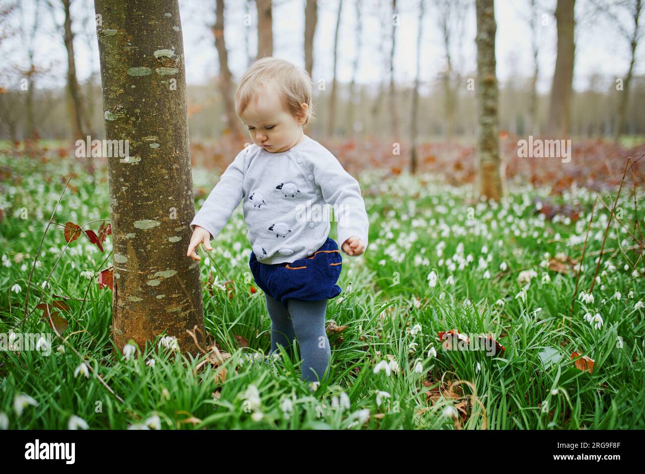 Cute one year old baby girl standing by a tree in park or forest with ...