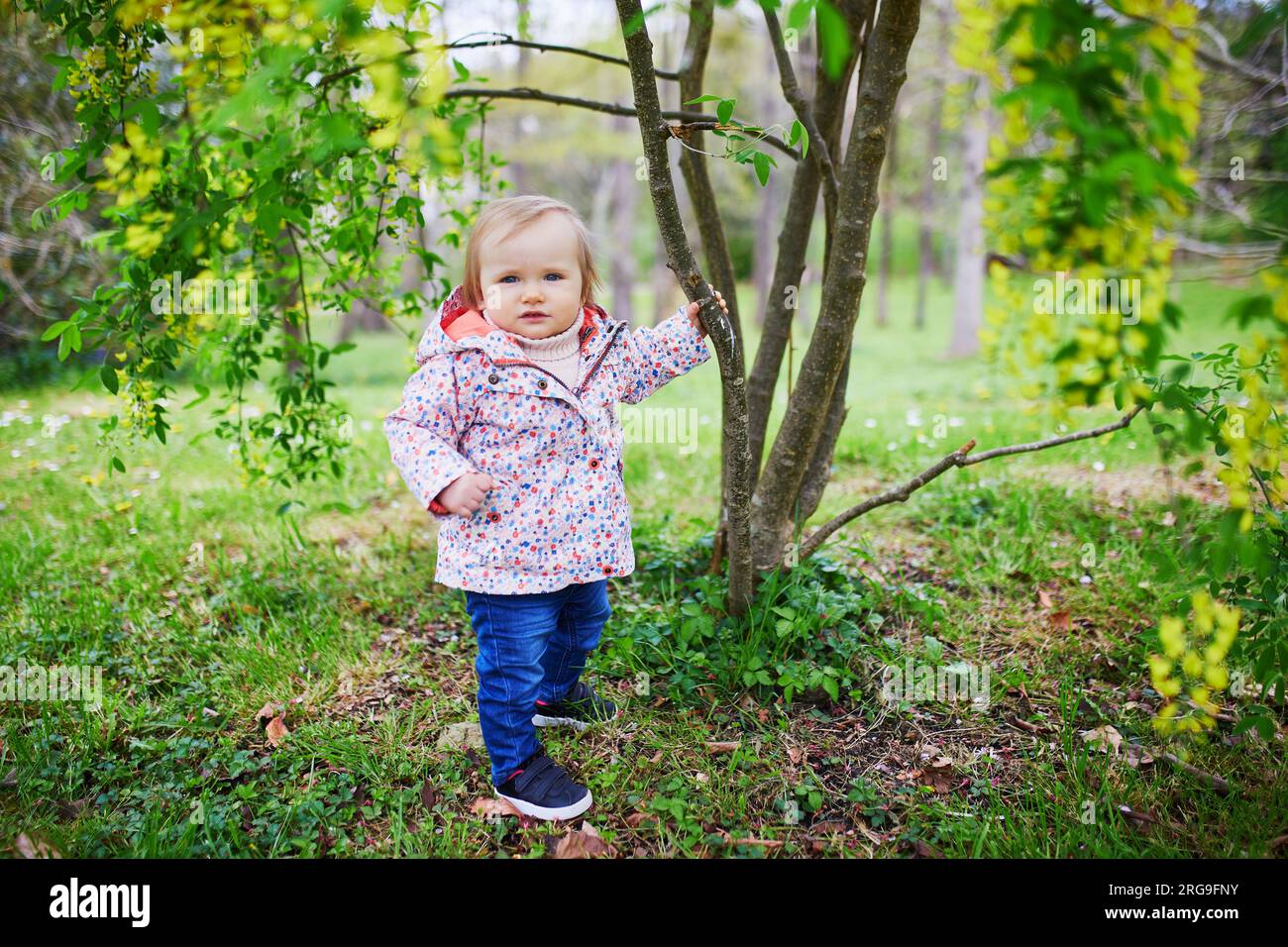 One year old girl standing next to a tree with yellow flowers in park ...