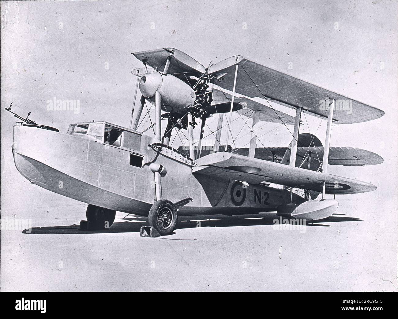 Short Seagull V Stock Photo - Alamy