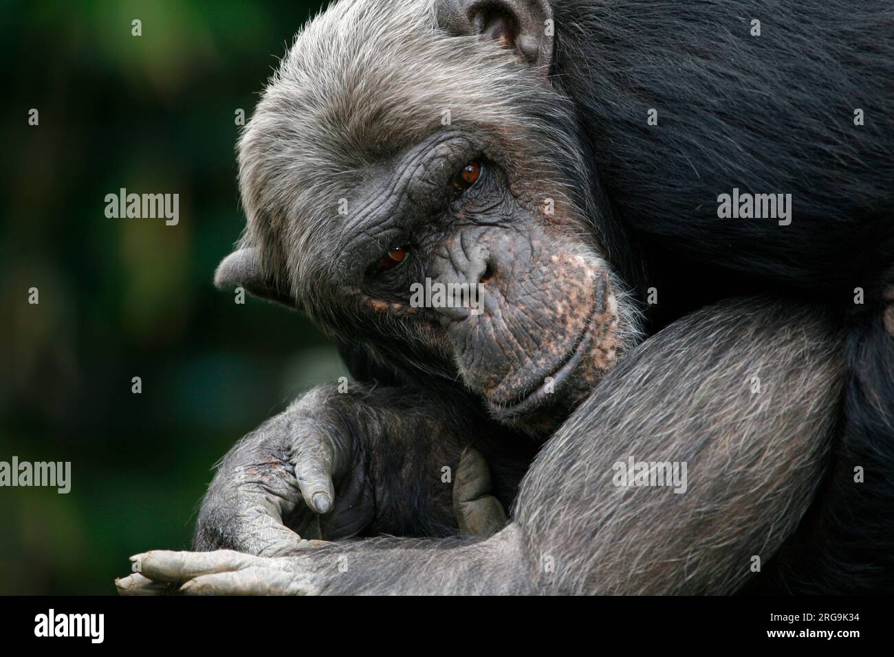 Grumpy old man funny hi-res stock photography and images - Alamy