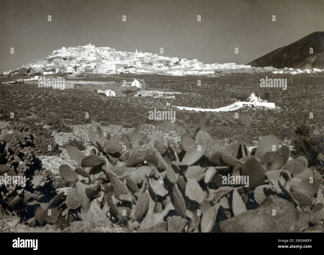 Santorini cacti hi-res stock photography and images - Alamy