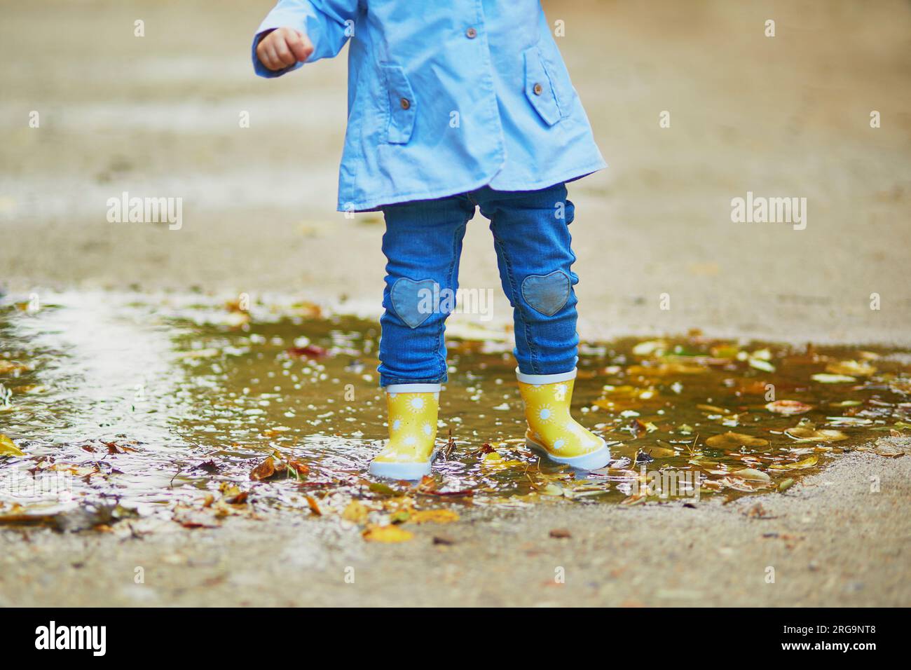 Child wearing yellow rain boots and jumping in puddle on a fall day. Toddler girl having fun ...