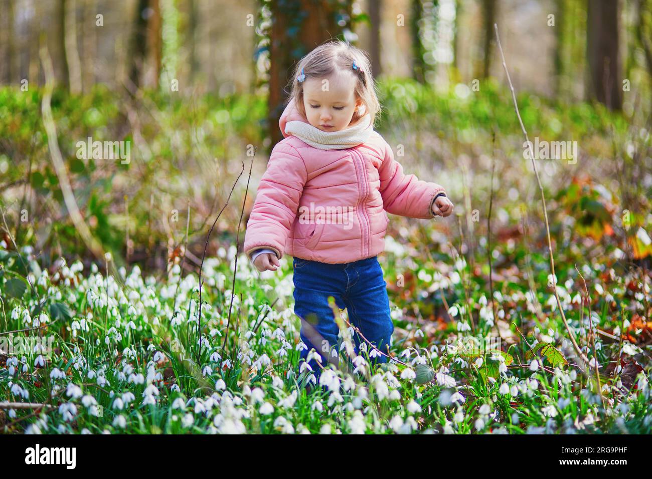 Cute toddler girl standing in the grass with many snowdrop flowers in ...