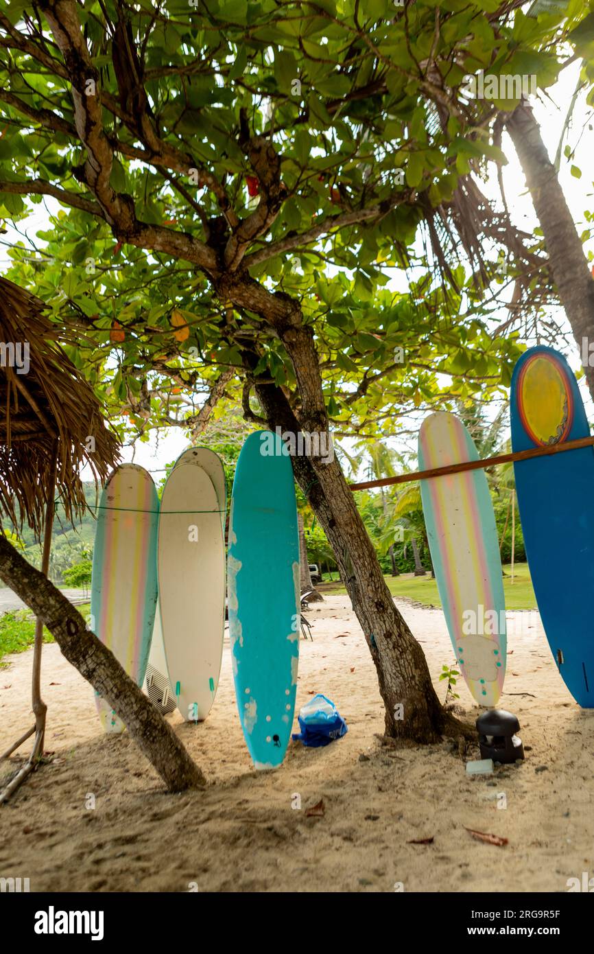 Costa rica beach surf lesson boards Stock Photo - Alamy