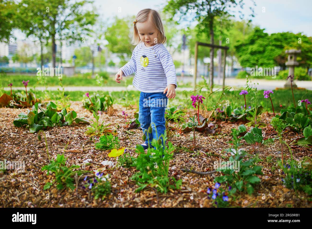 Adorable toddler girl looking at growing flowers on flower bed. Small ...