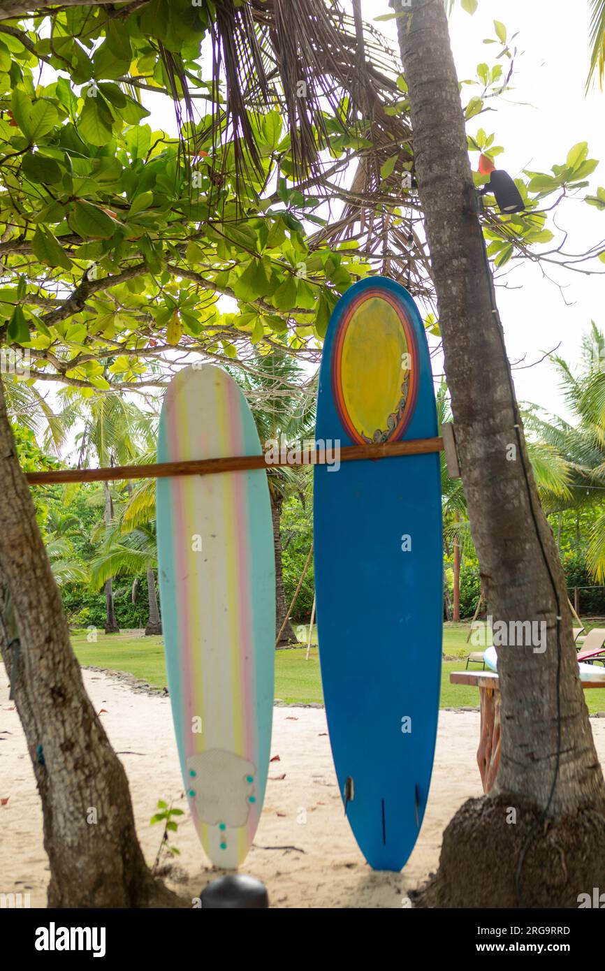 Costa rica beach surf lesson boards Stock Photo - Alamy