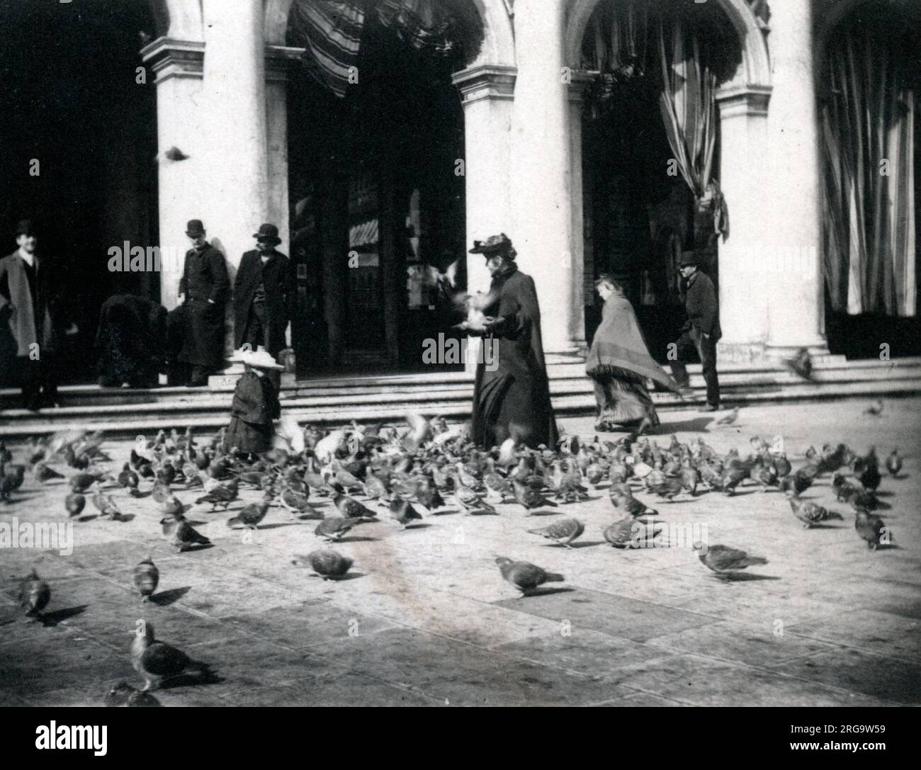 Pigeons square hi-res stock photography and images - Alamy