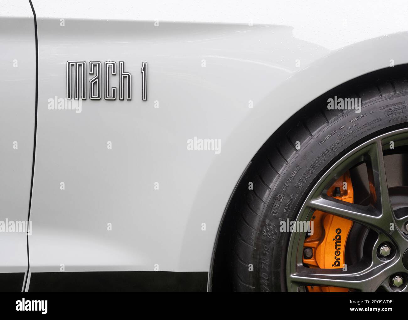 A close-up of the front right wing of a white Ford Mustang Mach 1 ...