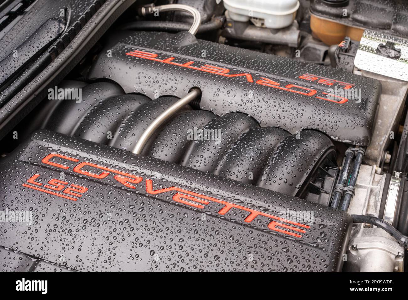 A close-up of the engine bay of a Chevrolet Corvette LS2 covered in ...