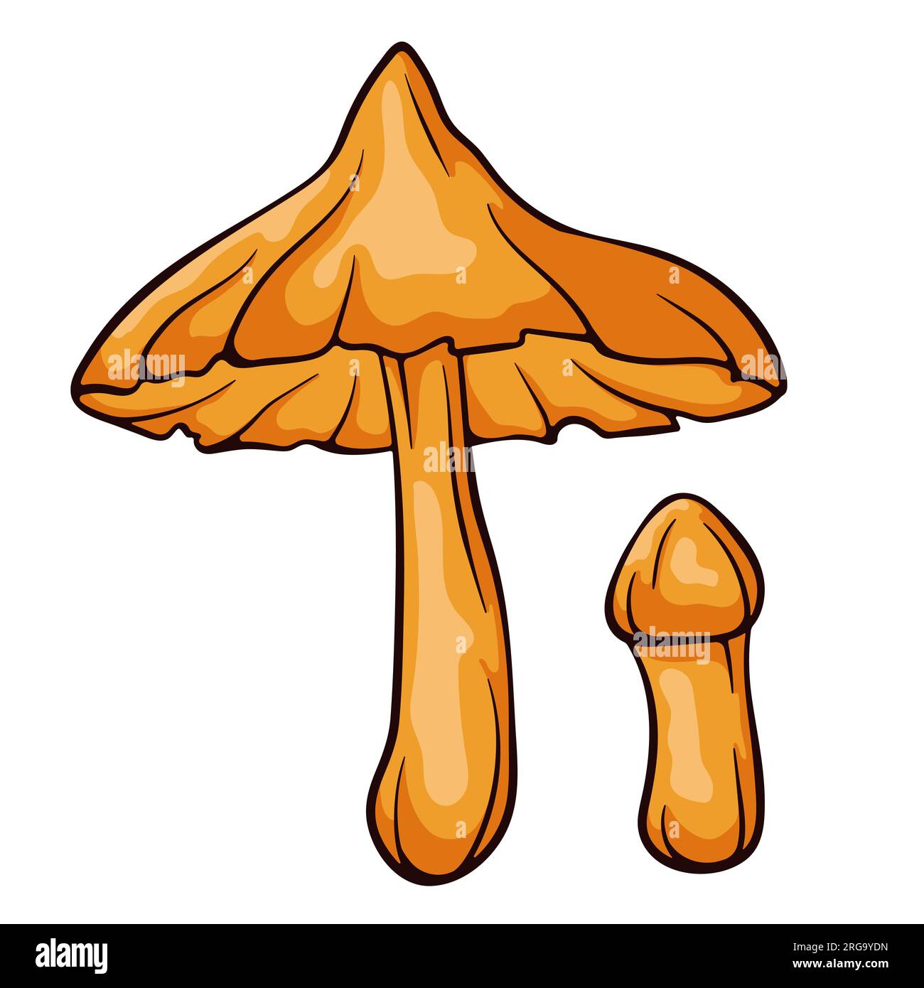 Deadly Webcap inedible mushroom in cartoon style. Poisonous Cortinarius ...