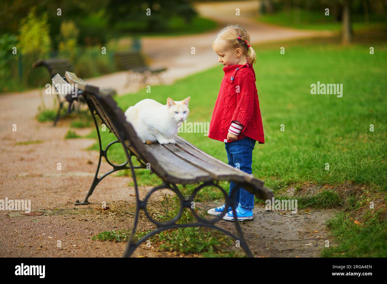 Adorable toddler girl playing with cat in autumn park. Happy kid ...