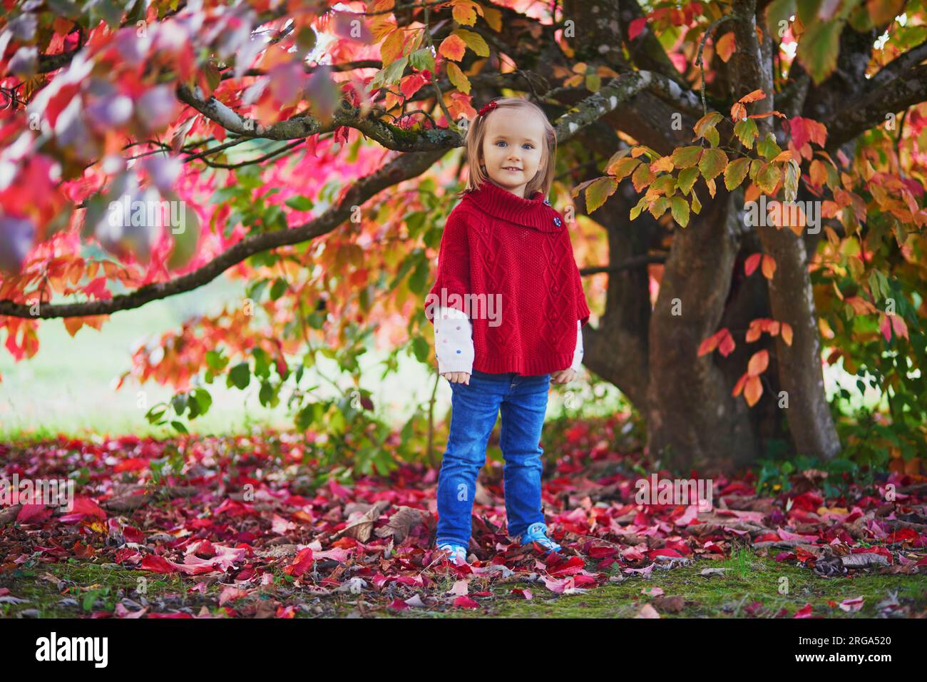 Adorable toddler girl playing in autumn park. Happy kid enjoying fall ...