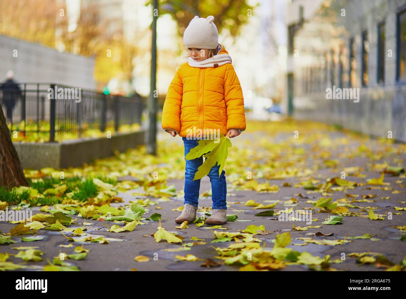 Adorable little girl in yellow jacket walking in autumn park on a sunny ...