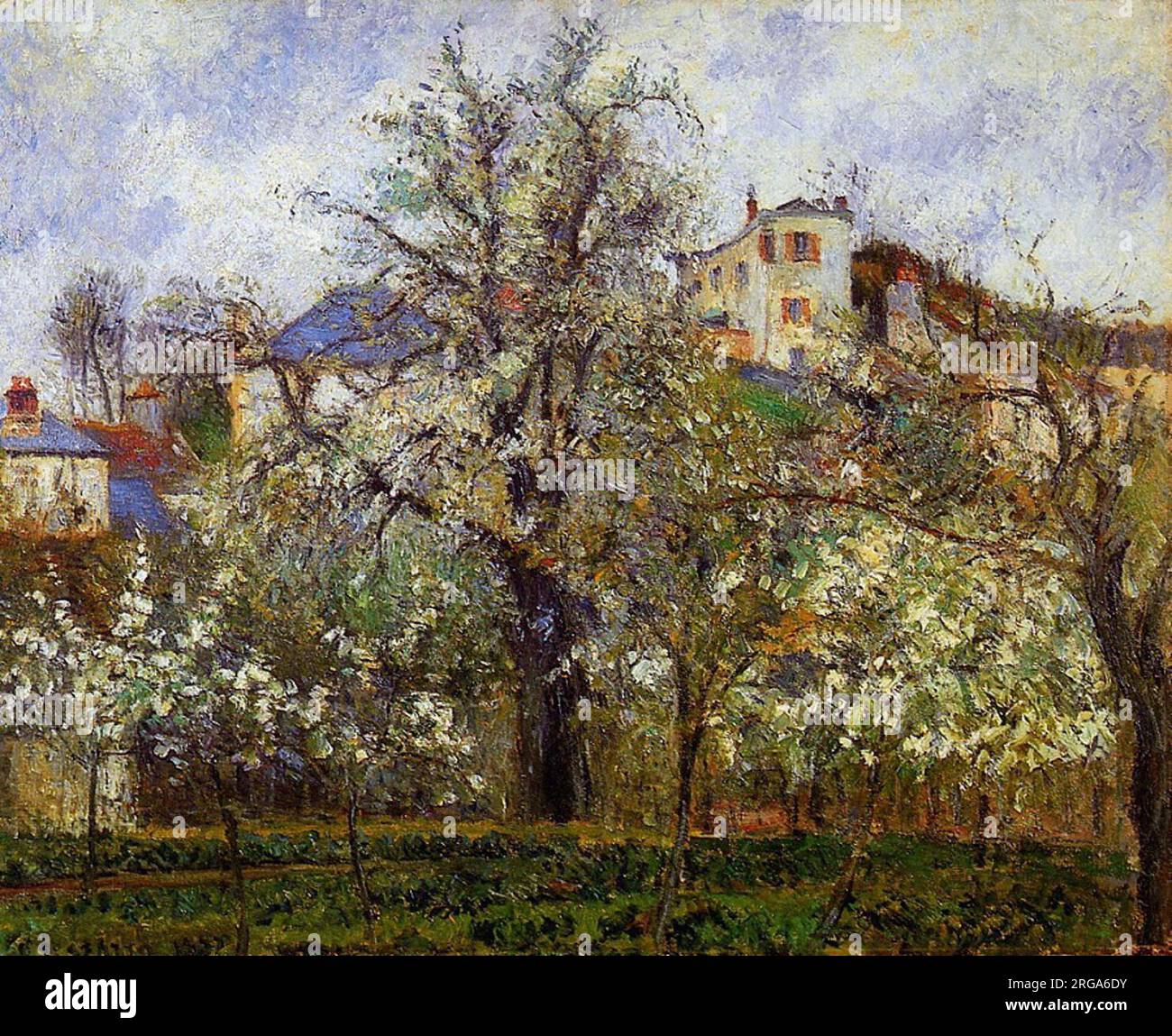 Orchard with Flowering Trees, Spring, Pontoise 1877 by Camille Pissarro ...