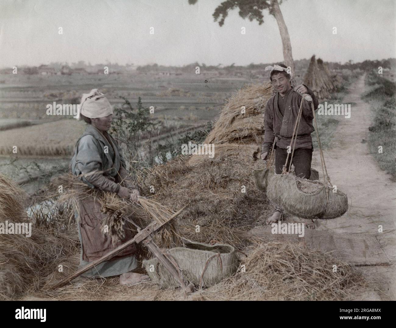 Farm workers tripping rices grains from the straw, Japan. Vintage 19th ...