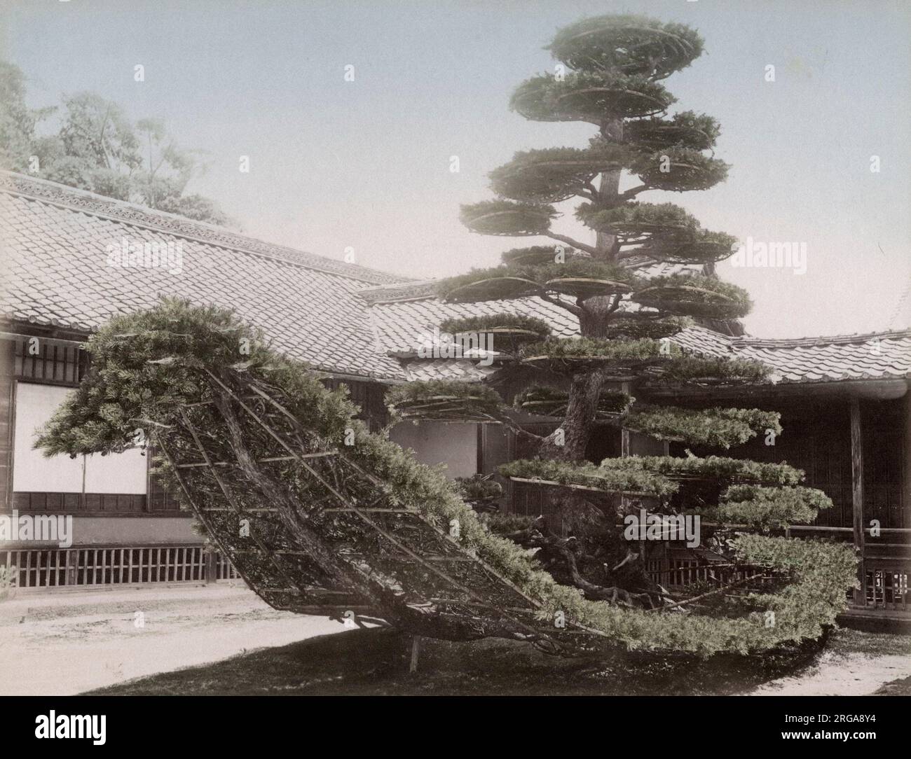Japanese traditional shaped roof hi-res stock photography and images ...