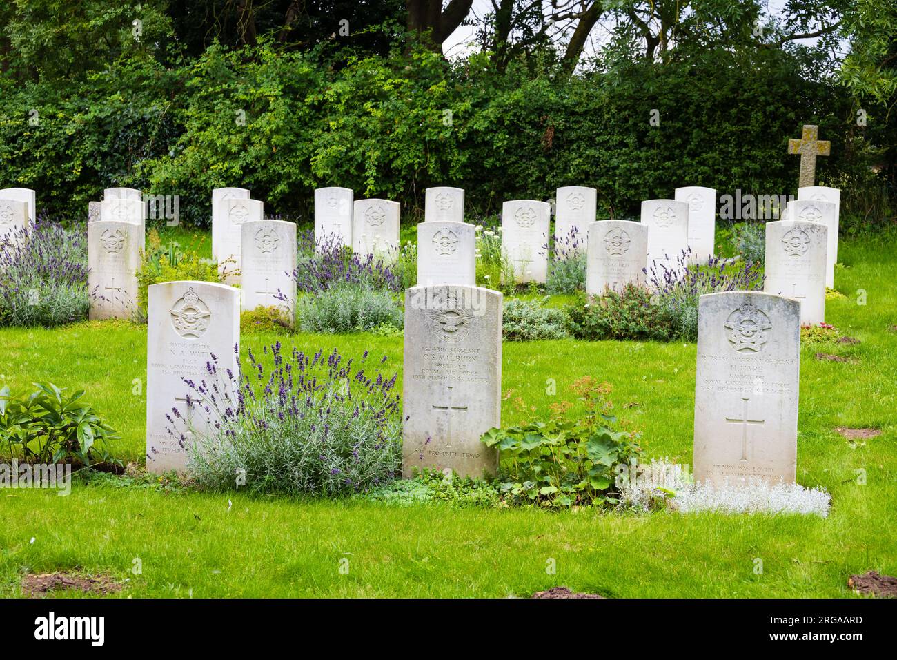 Ww2 graves cross hi-res stock photography and images - Alamy