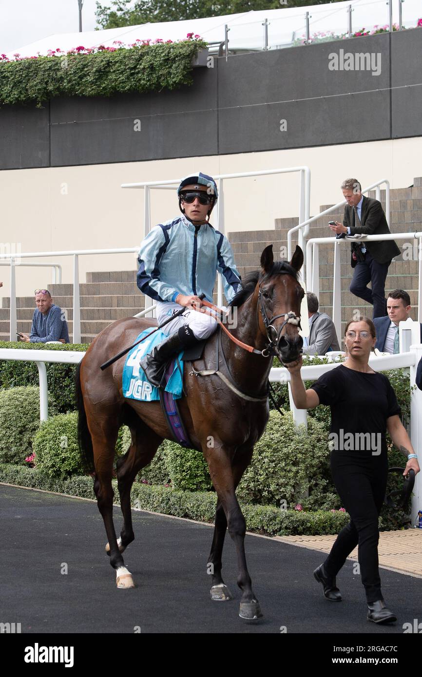 Lokana horse hi-res stock photography and images - Alamy